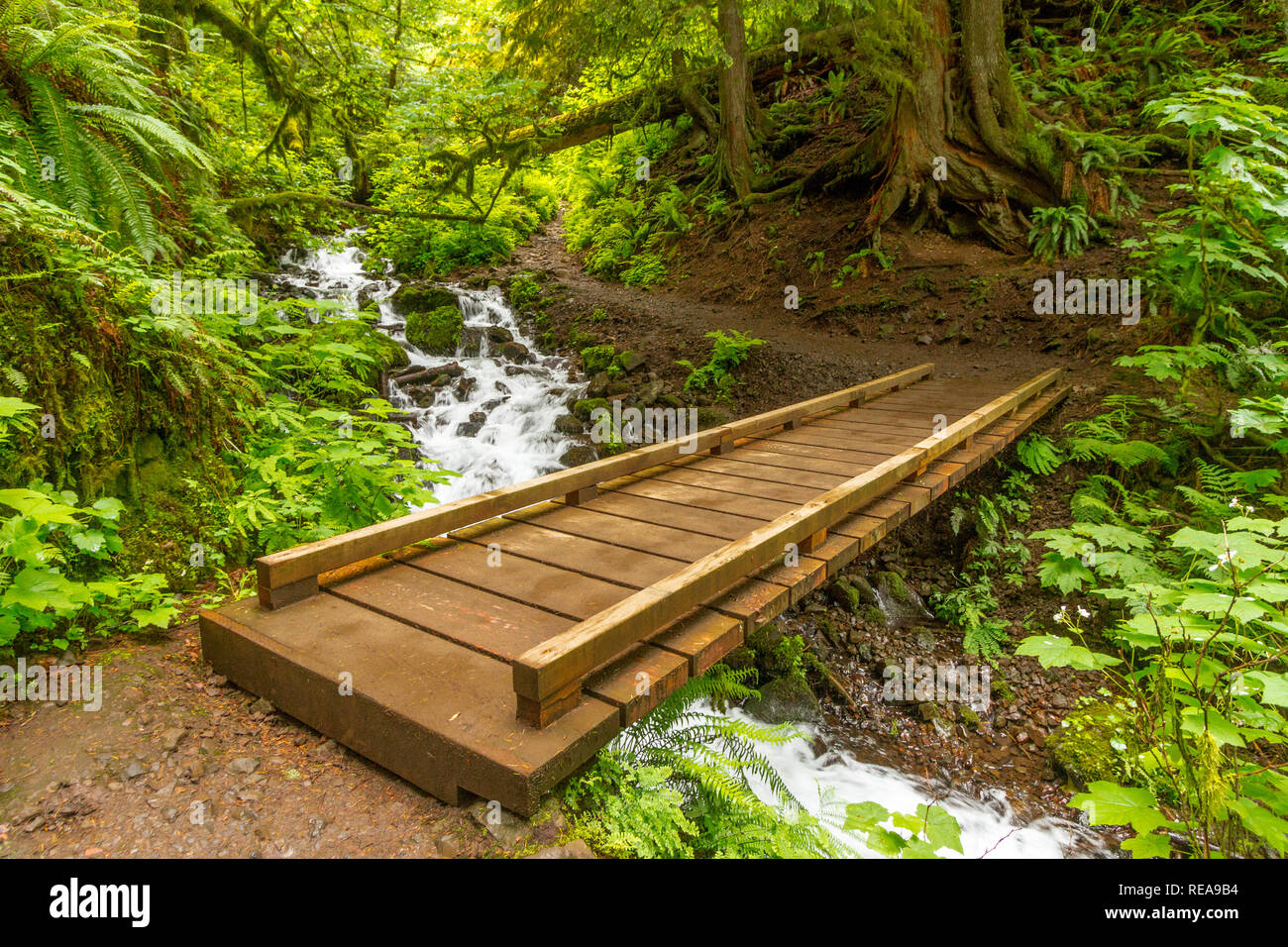 Bridge [river crossing] stream hi-res stock photography and images - Alamy