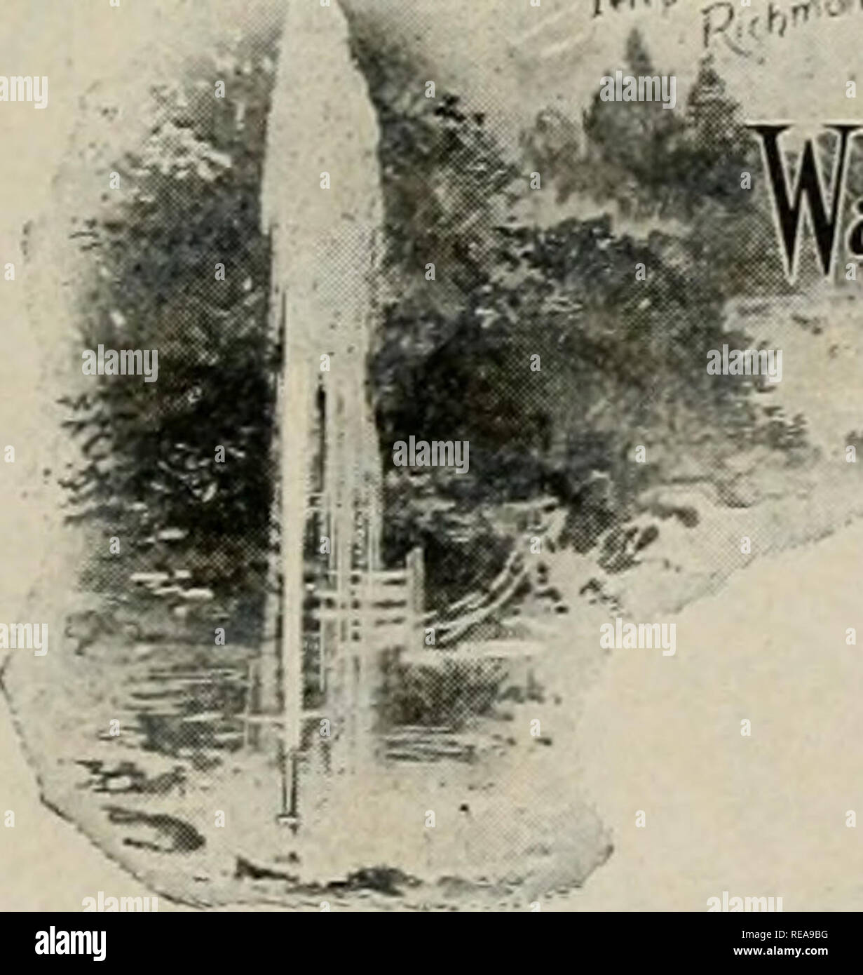 . Conservation. Forests and forestry. Have Us Inspect Your Trees An ...