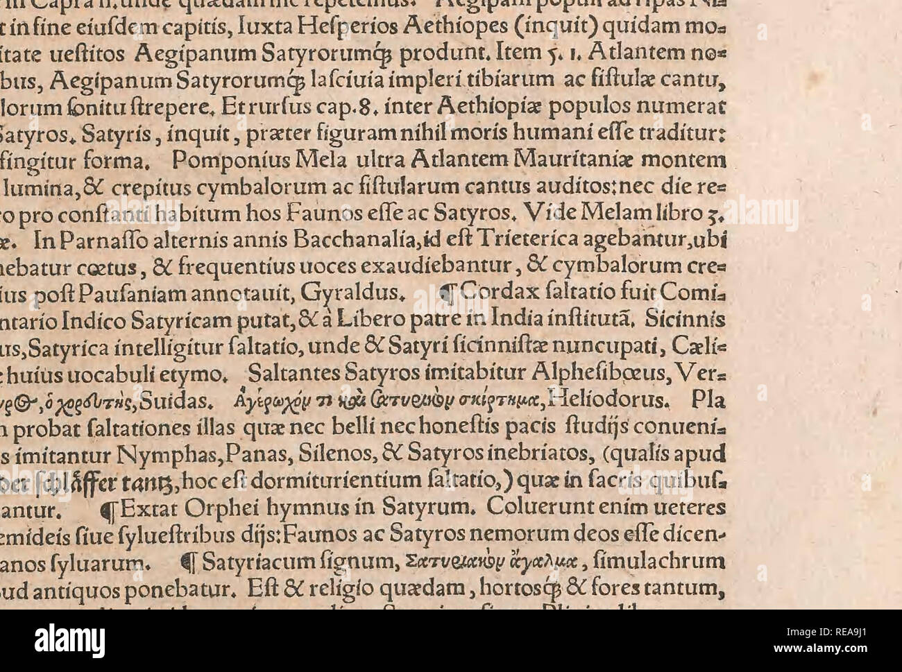 Protogenes hi-res stock photography and images - Alamy