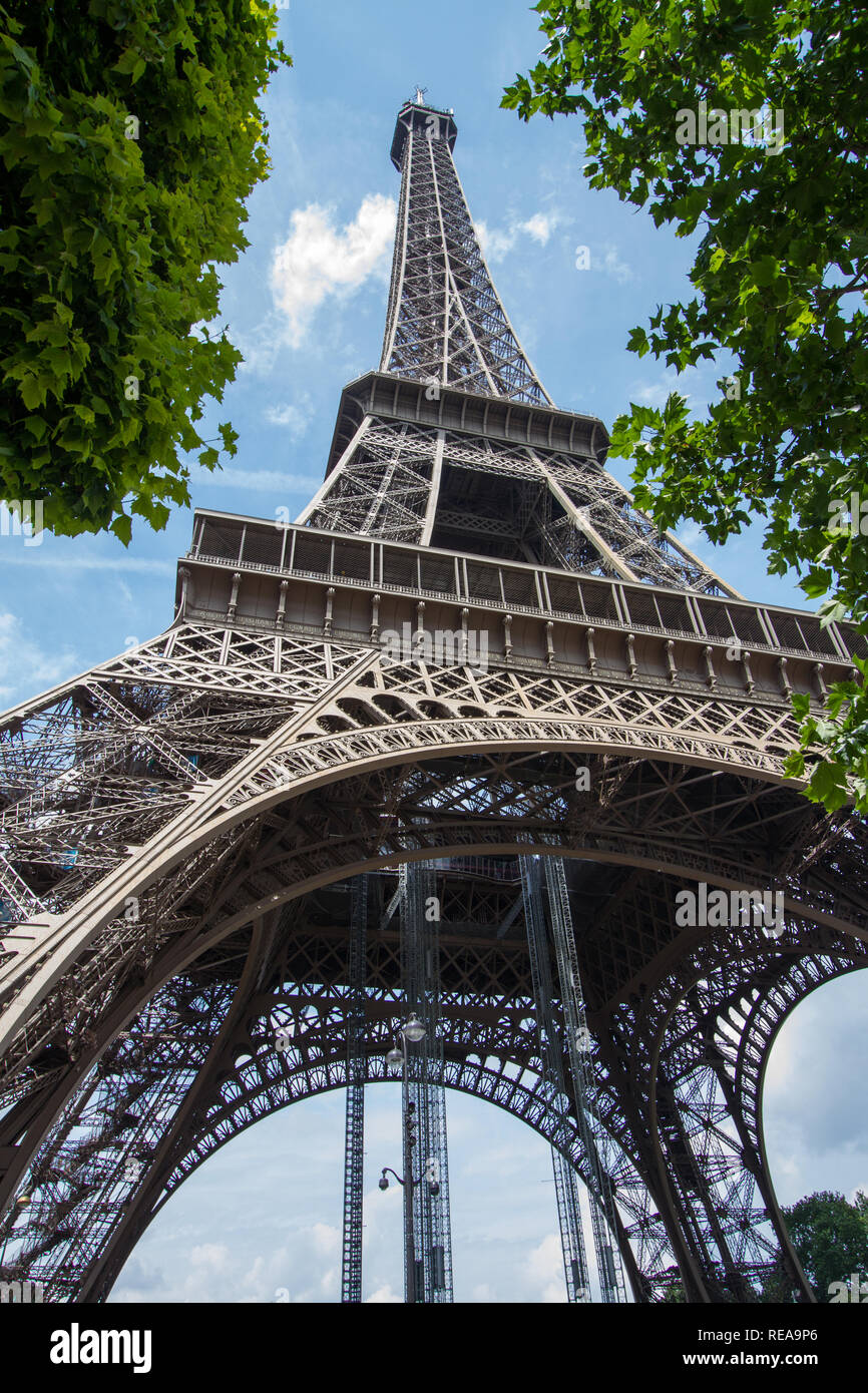 Towering Above - Low view of the Eiffel Tower between trees. Paris ...