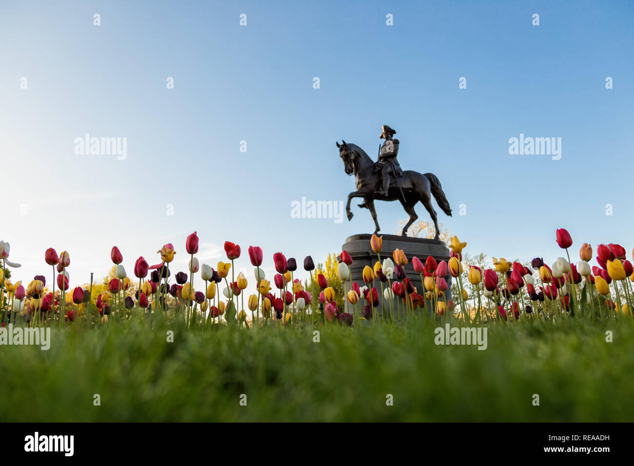 Statue of George Washington in Spring Stock Photo - Alamy