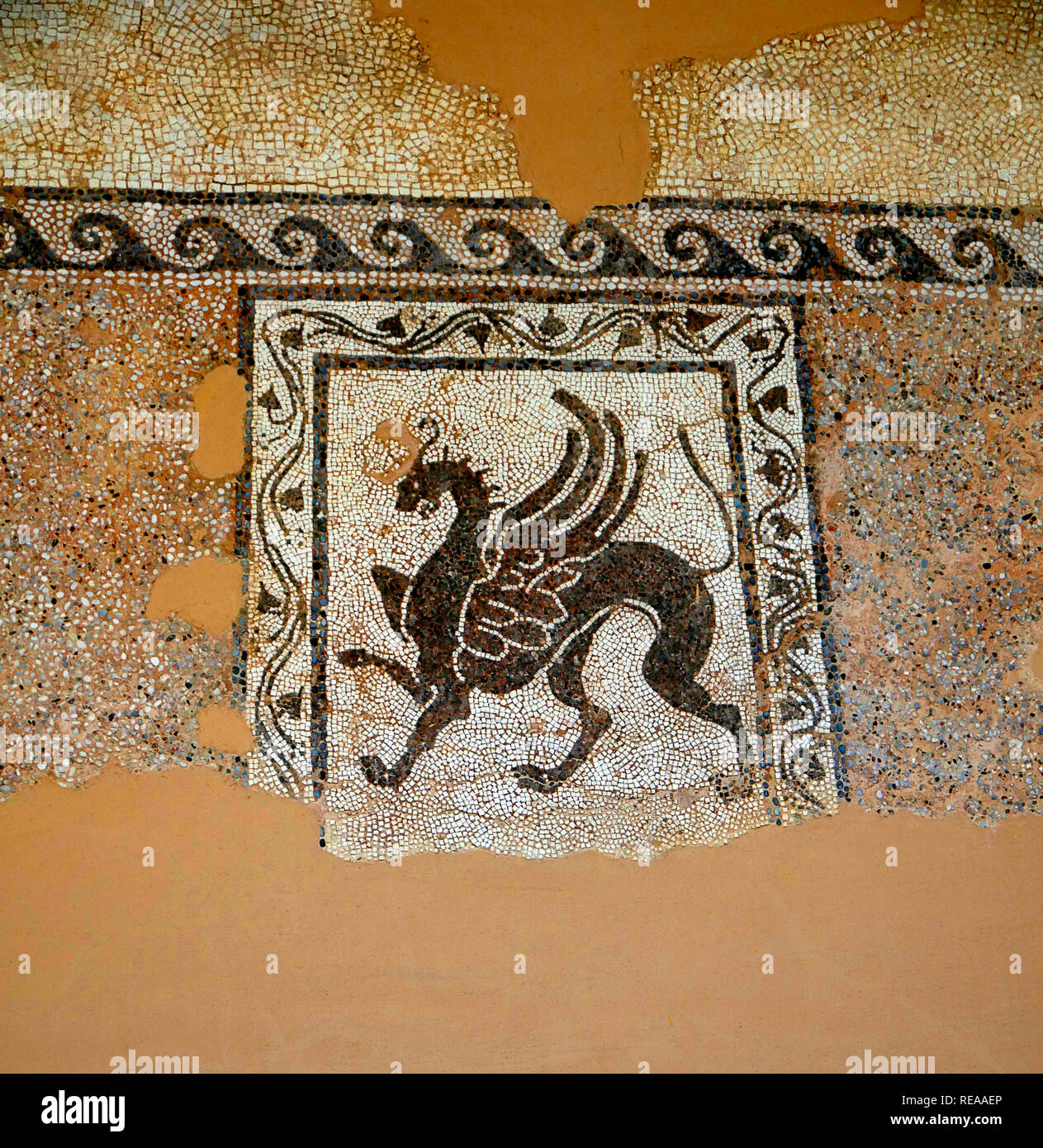 This building was formerly the Hospital of the Knights of St. John in ...