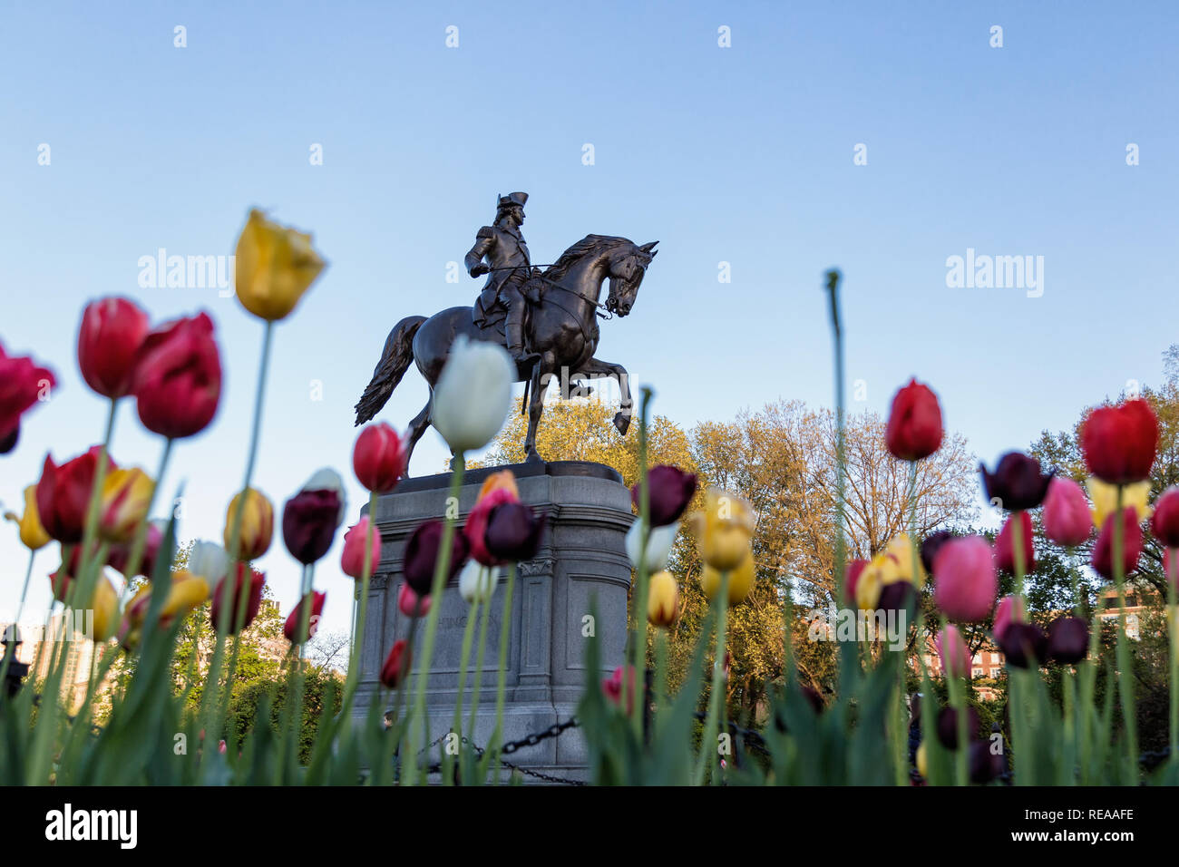Statue of George Washington in Spring Stock Photo - Alamy