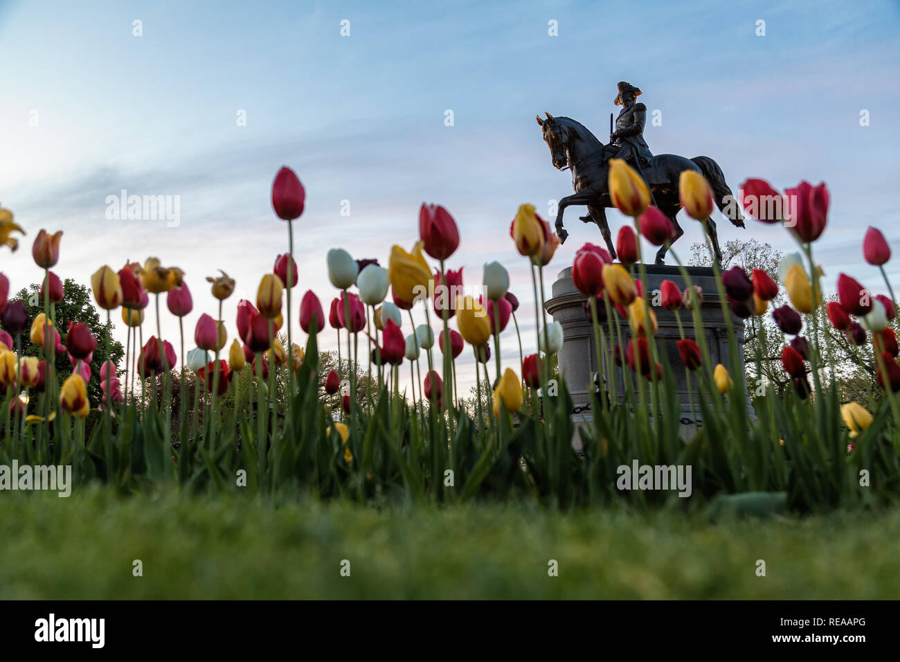 George washington portrait young hi-res stock photography and images ...