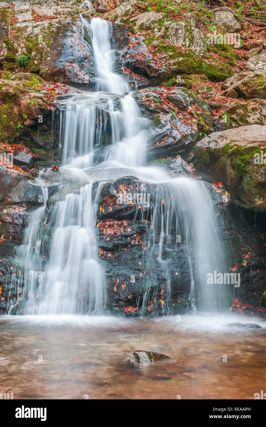 Dark Hollow Falls in autumn. Shenandoah National Park. Virginia. USA ...