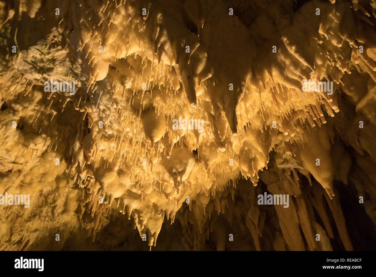 Diros water caves, abandoned in human habitation in 4 BC after an ...