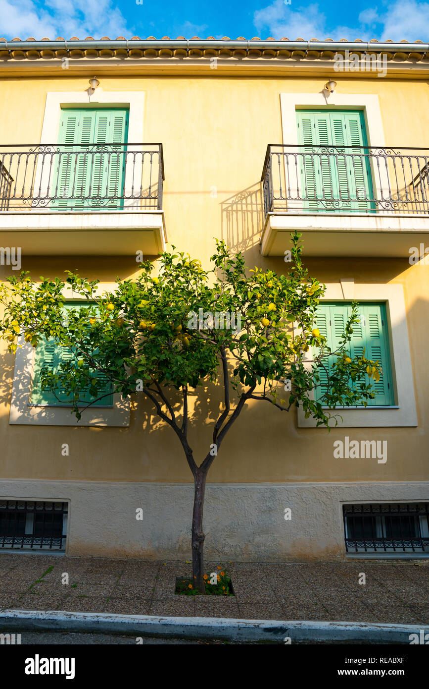 House with lemon tree hi-res stock photography and images - Alamy