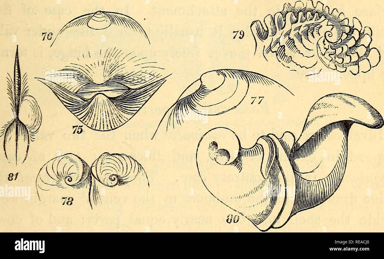 Prominent hinge hi-res stock photography and images - Alamy