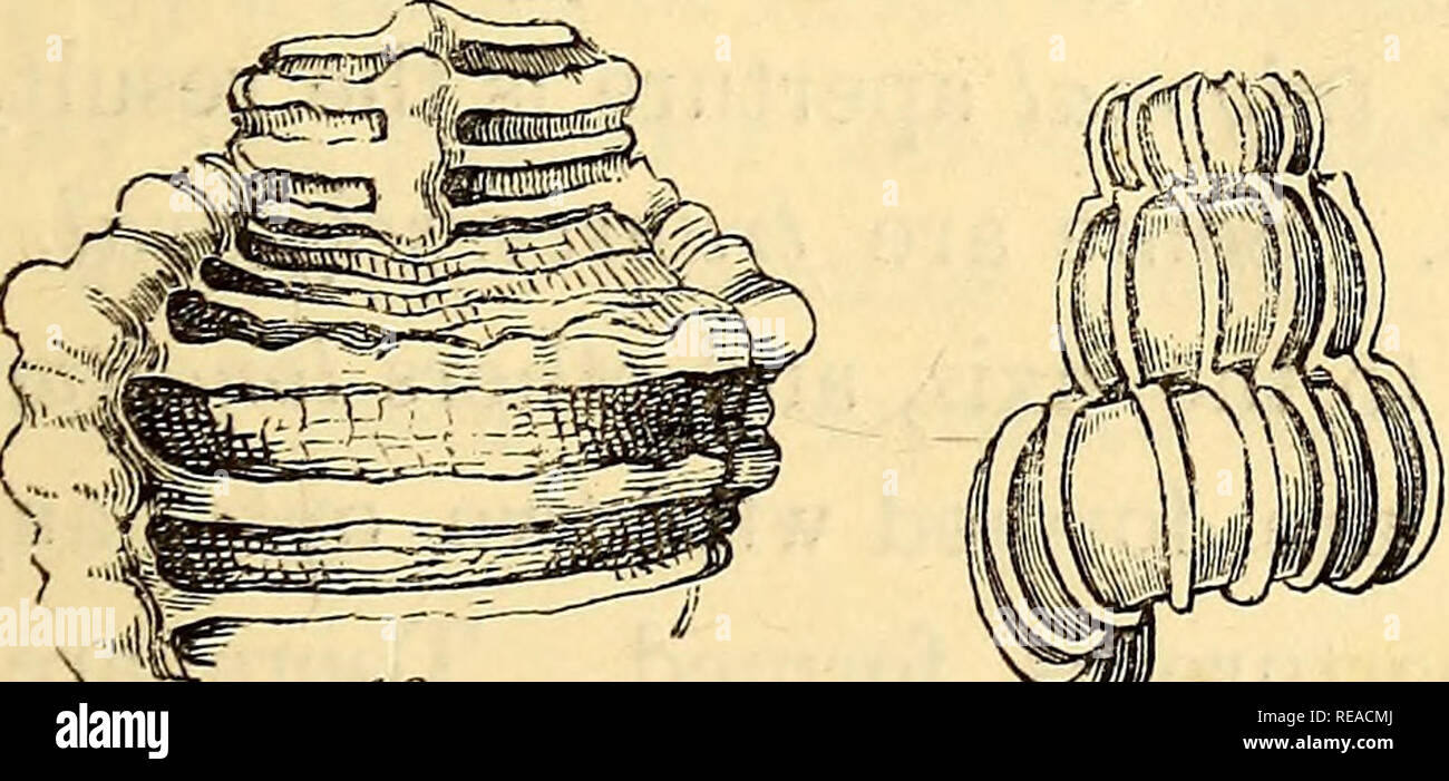 Introduction of subsequent stages hi-res stock photography and images ...
