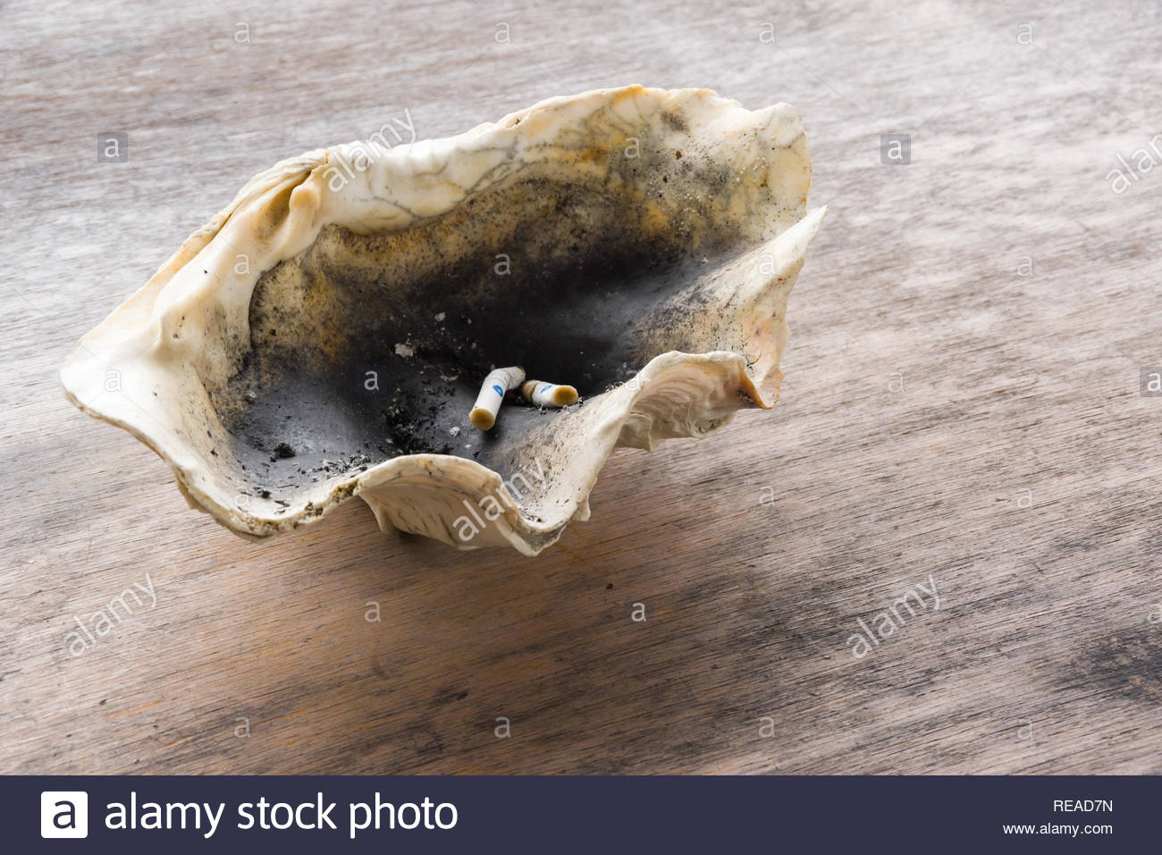 Smoke Shell Stock Photos & Smoke Shell Stock Images - Alamy