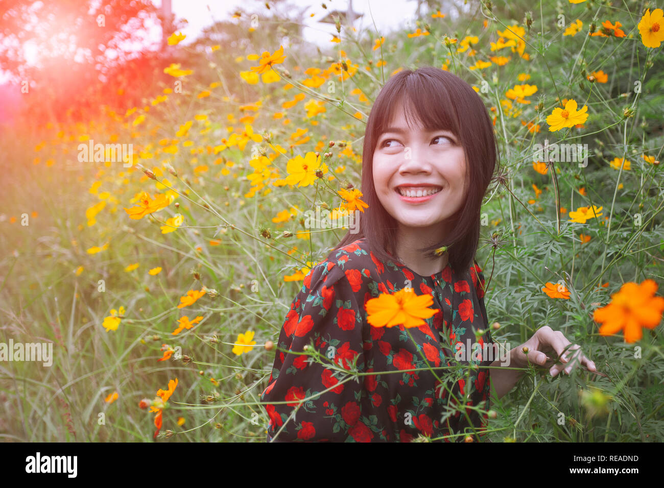 beautiful younger asian woman toothy smiling face with happiness ...