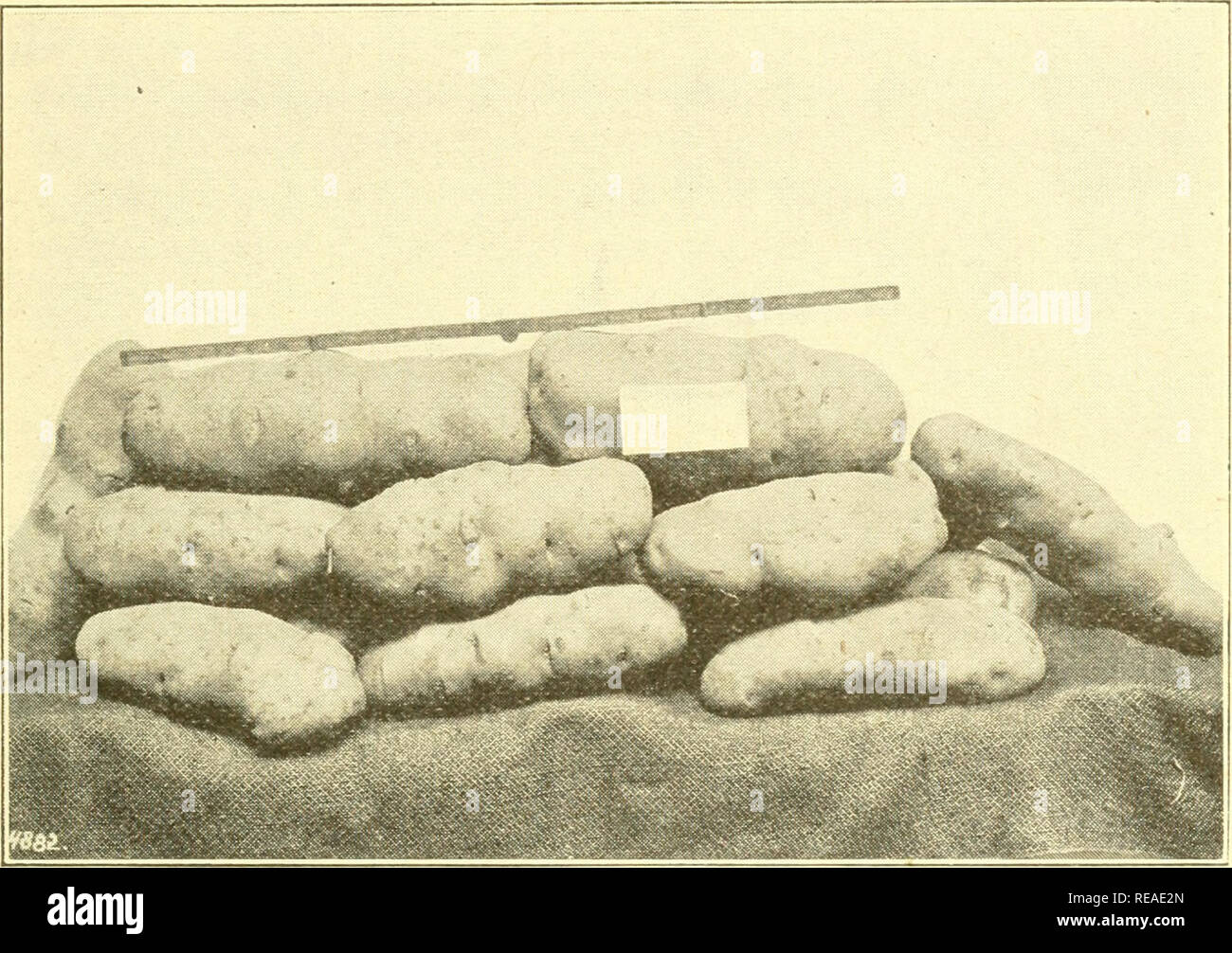 . Dry land farming. Dry farming. [from old catalog]. GROWING CULTIVATED ...