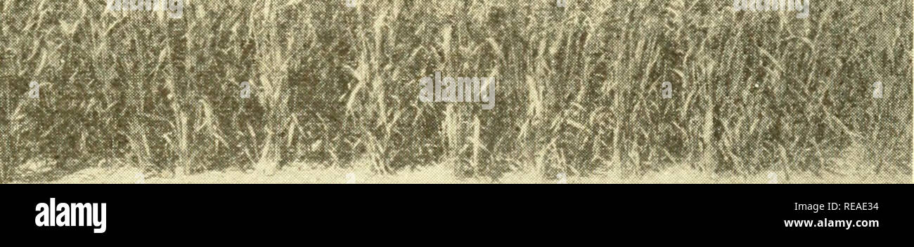 Farming in arid areas hi-res stock photography and images - Alamy