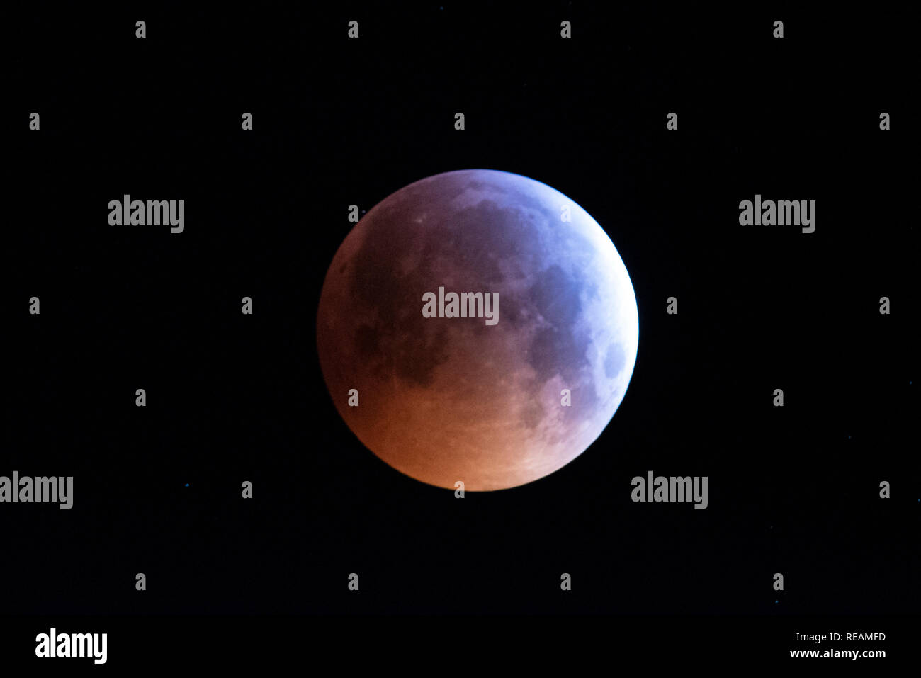 Super Blood Wolf Moon on 21 January 2019. Lunar eclipse. Over Essex, UK ...