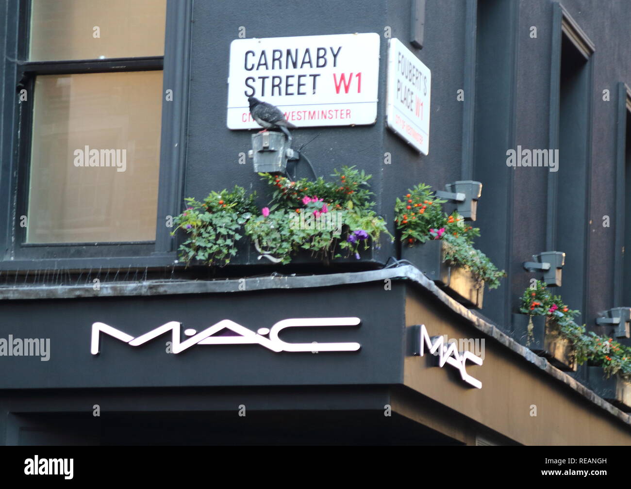 MAC brand logo seen in Carnaby Street in London, UK Stock Photo - Alamy