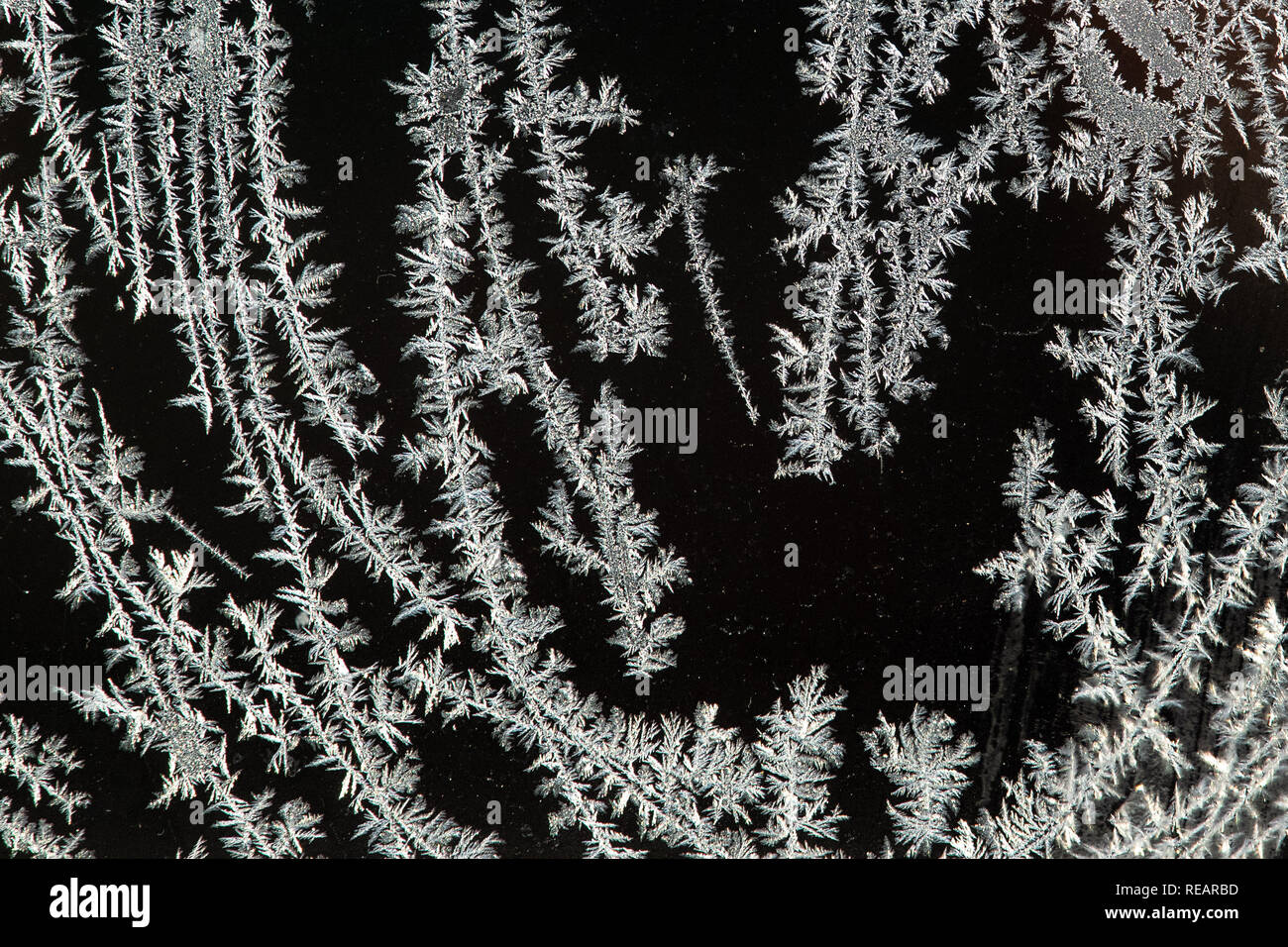 21 January 2019, Baden-Wuerttemberg, Stuttgart: Frost at the window of ...