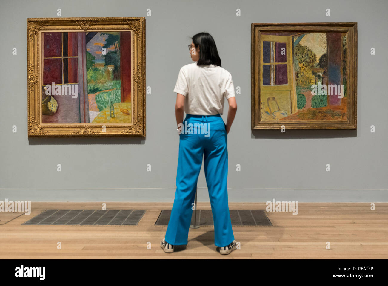 Pierre bonnard garden hi-res stock photography and images - Alamy