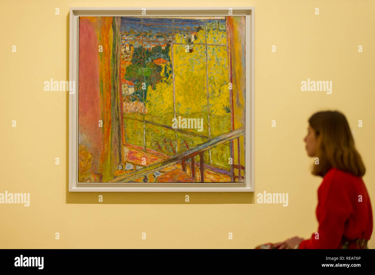 The studio with mimosa bonnard hi-res stock photography and images - Alamy
