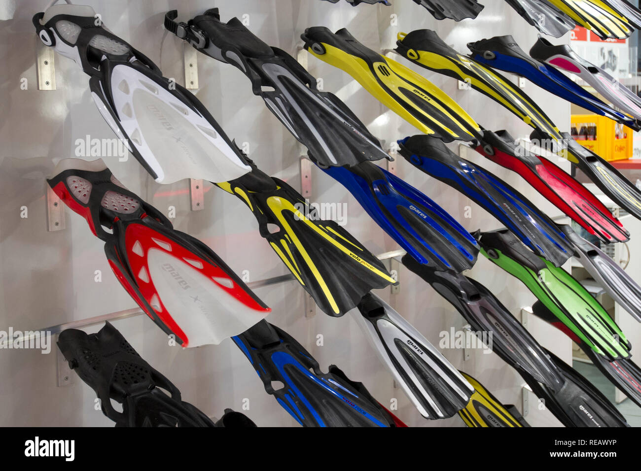 Feature fins hi-res stock photography and images - Alamy