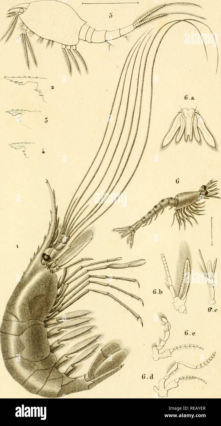 Uh 2a hi-res stock photography and images - Alamy