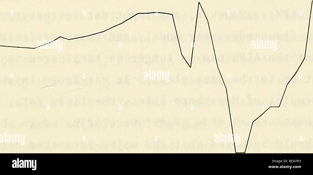 . DYNLET1 : dynamic implicit numerical model of one-dimensional tidal flow through inlets ...