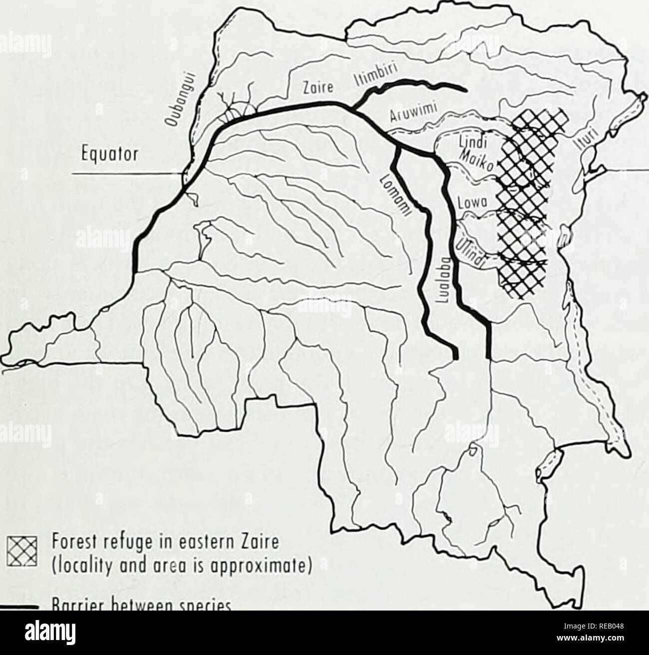 Long haired rousette hi-res stock photography and images - Alamy