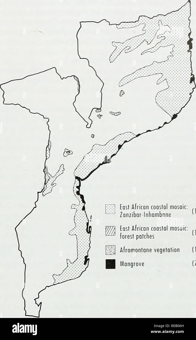 Montane Forest Map Full Article: South American Mountain Ecosystems