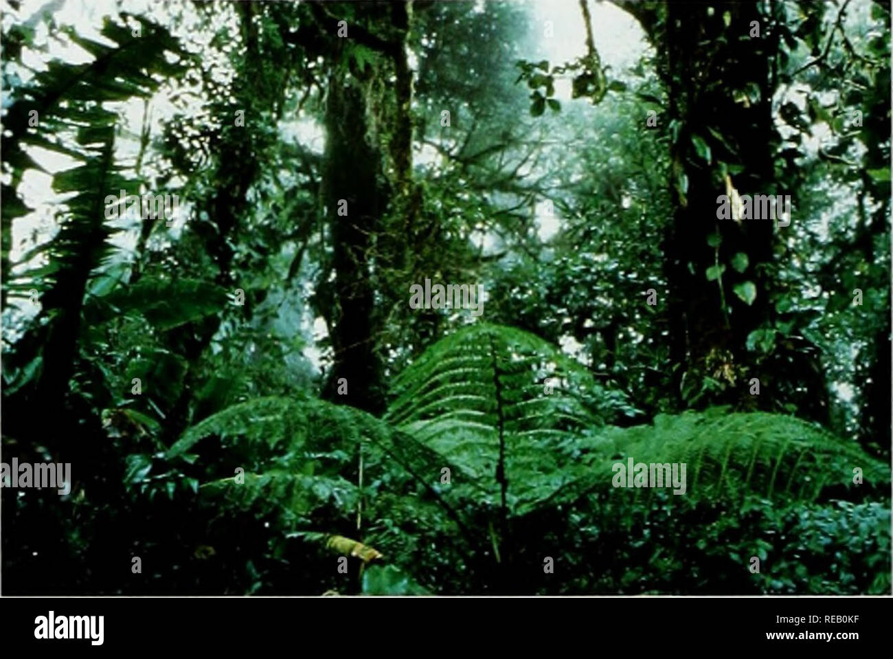 Genetic reserve hi-res stock photography and images - Alamy