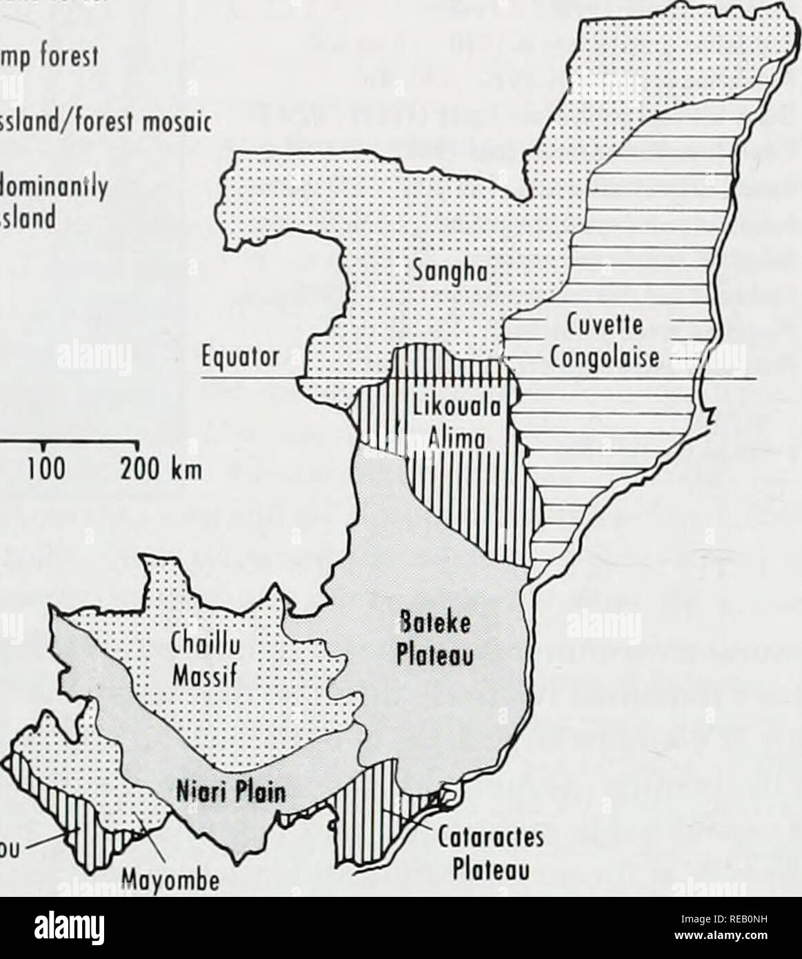 Forest mayombe congo hi-res stock photography and images - Alamy