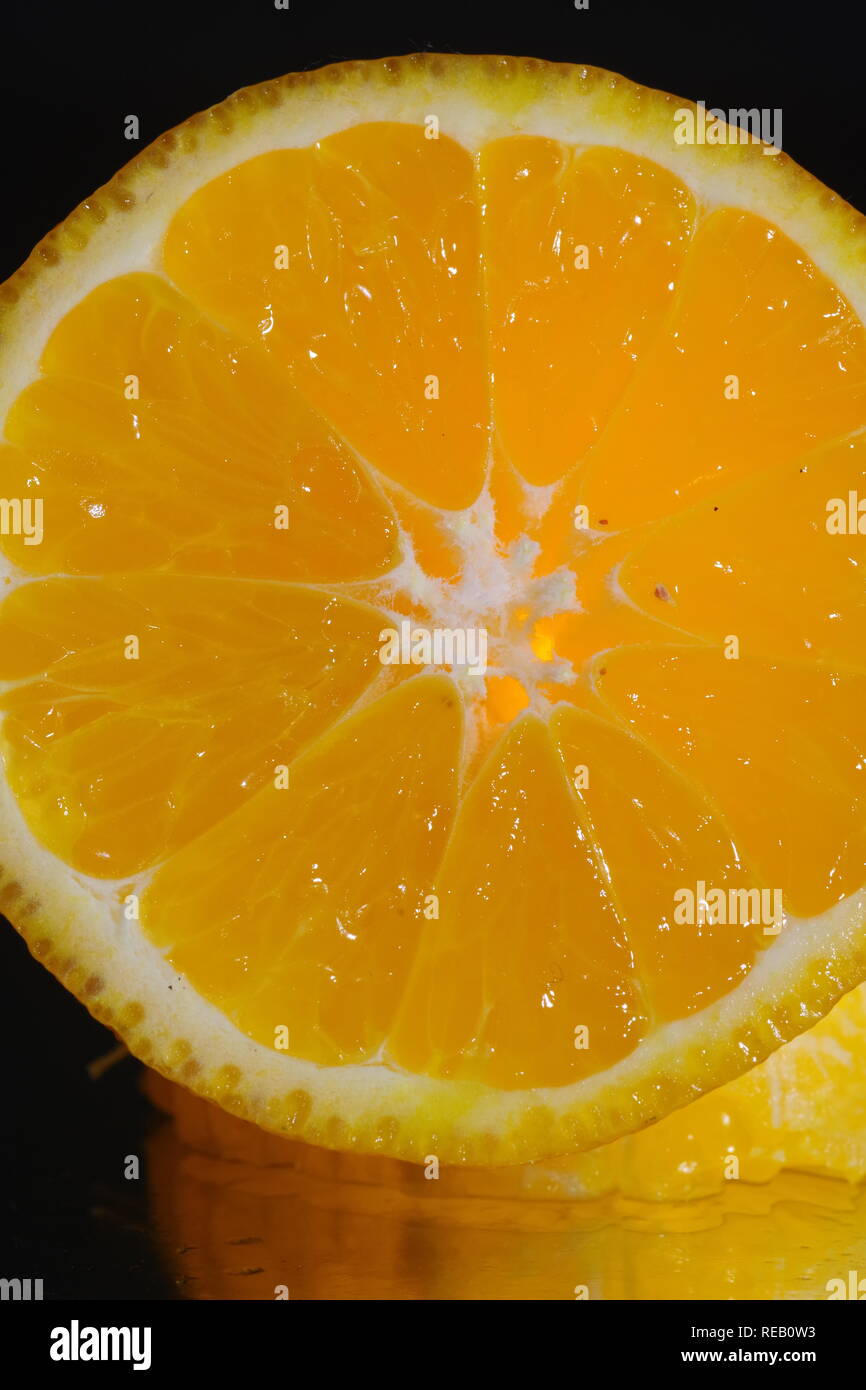Backlit Cut in Half Clementine (Citrus × clementina) Close Up against a ...