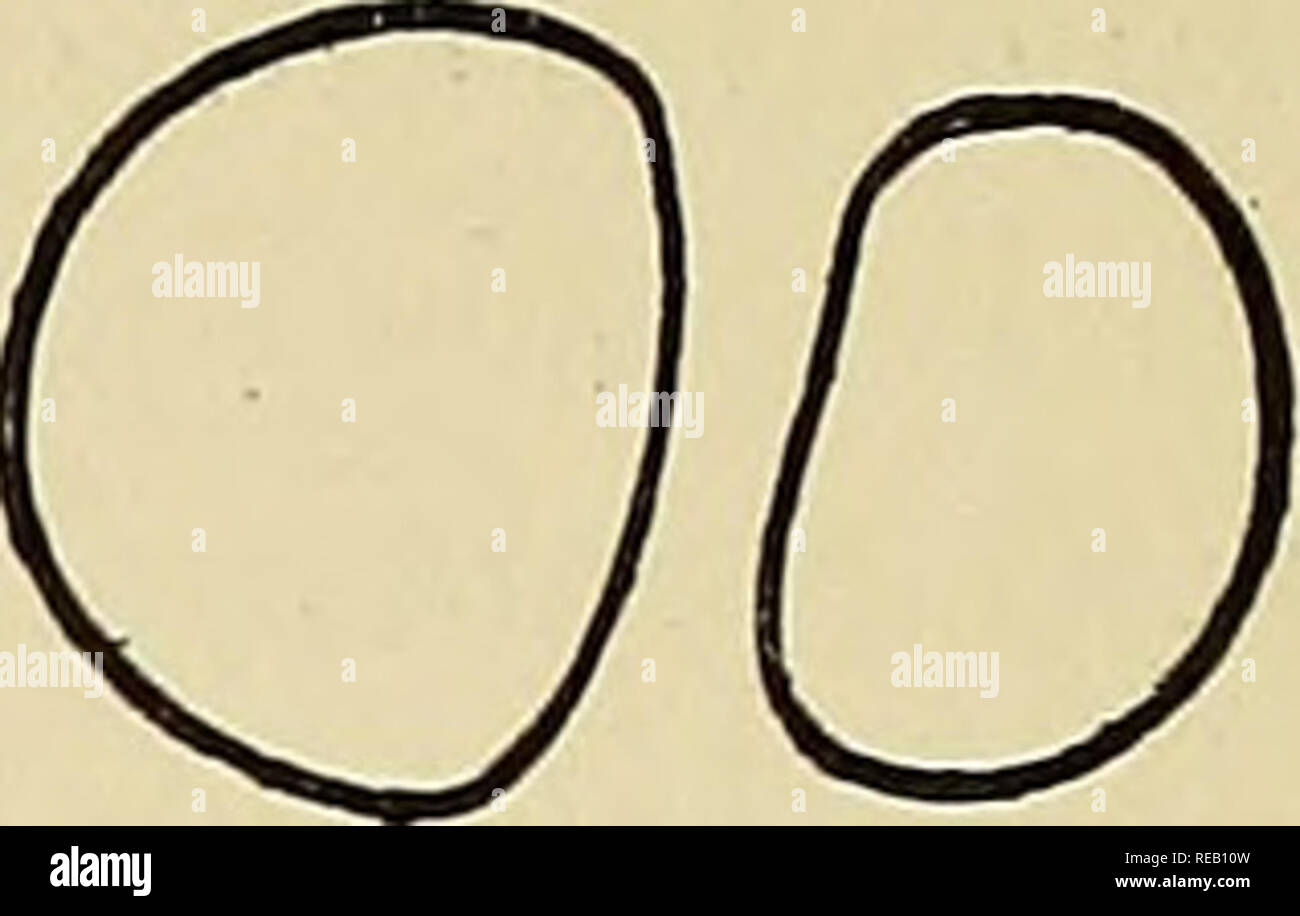 . The dynamics of living matter. Reproduction; Regeneration (Biology ...