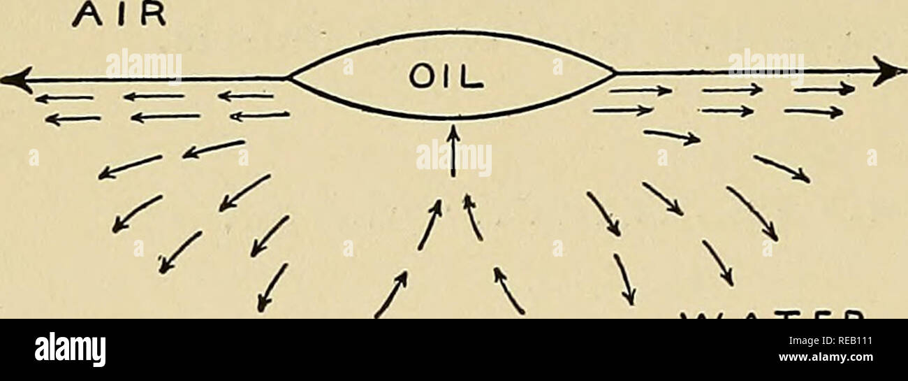 . The dynamics of living matter. Reproduction; Regeneration (Biology ...