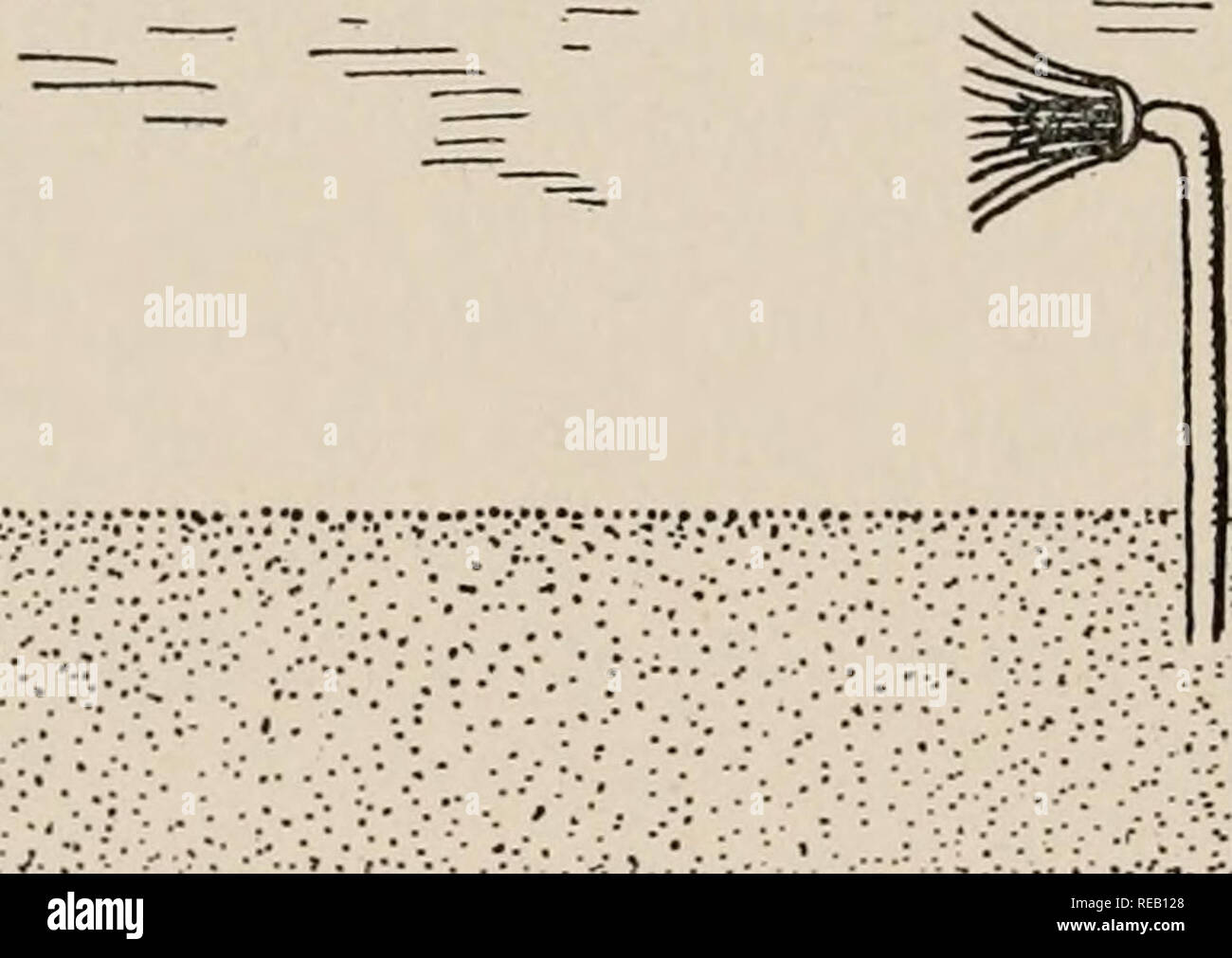 . The dynamics of living matter. Biochemistry; Reproduction ...