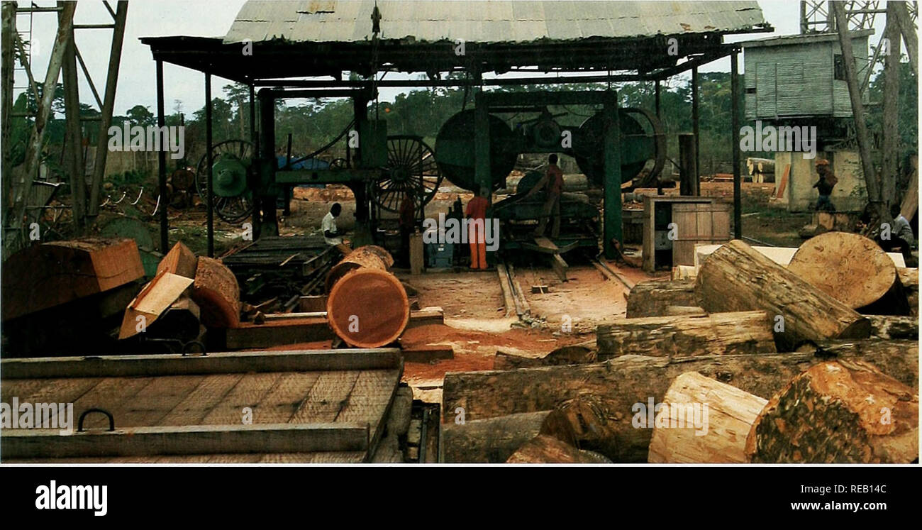 Ghana forest timber hi-res stock photography and images - Alamy