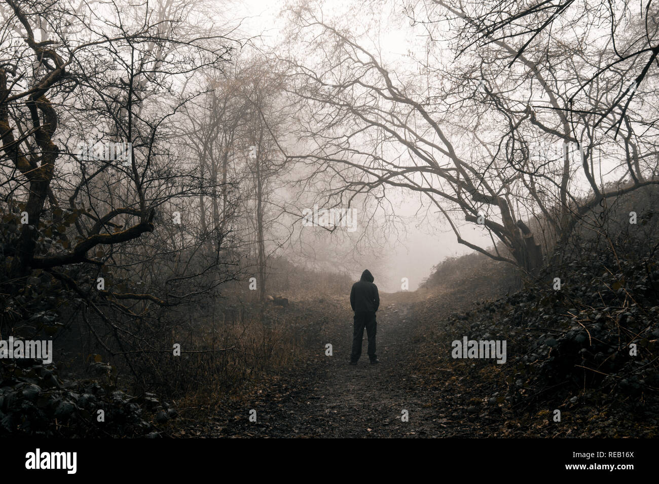 A hooded figure standing in a spooky forest on a foggy winters day ...