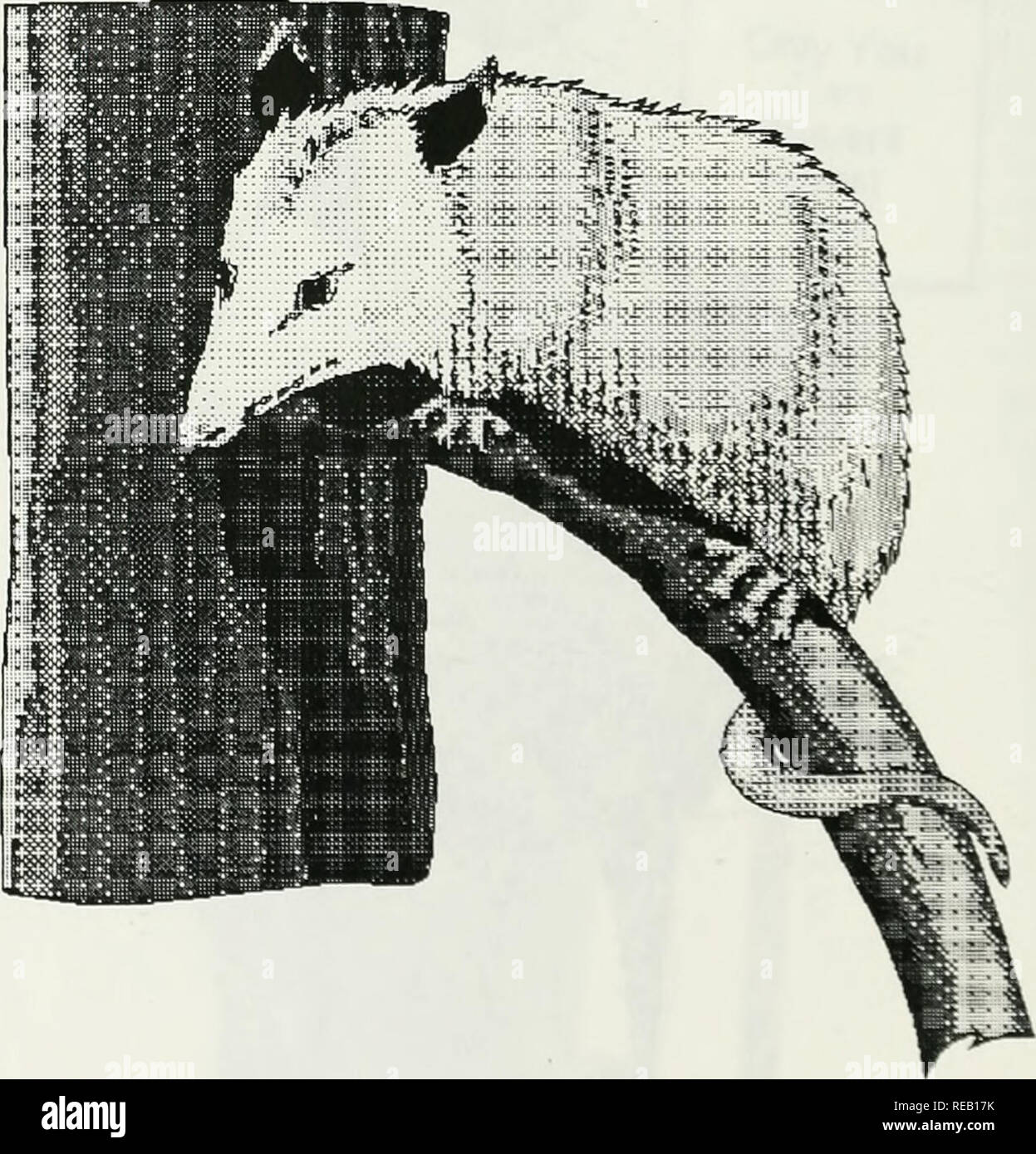 Gabriel gruber hi-res stock photography and images - Alamy