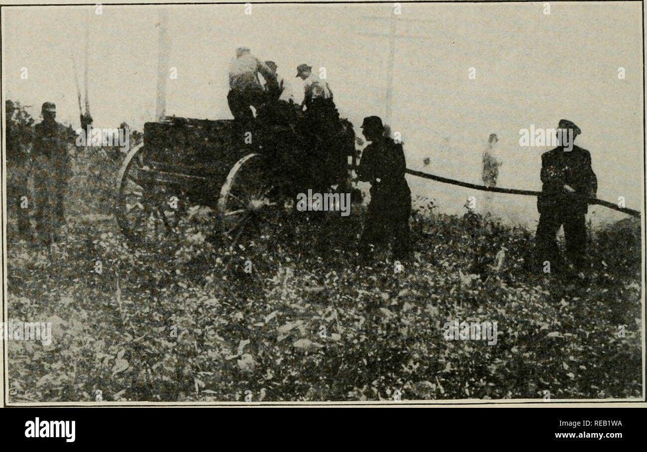 . Conservation. Forests and forestry. AT THE CHISHOLM FIRE After It Was ...