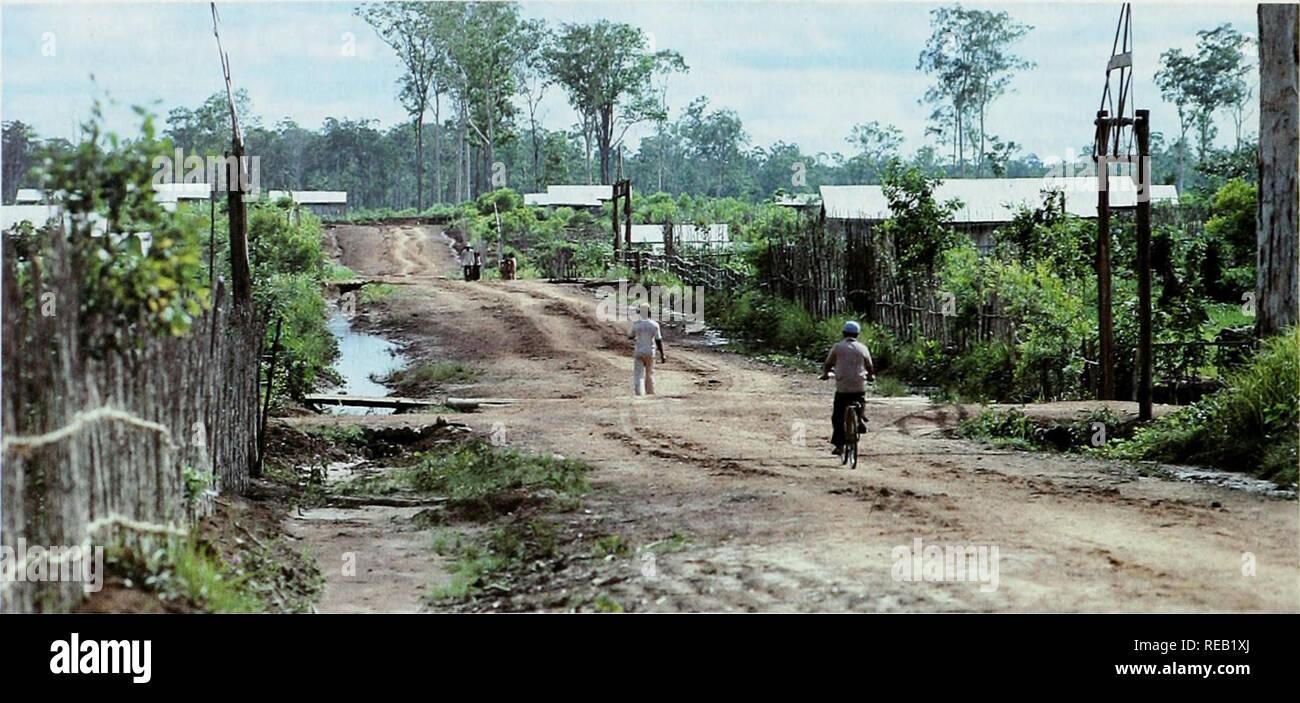 Transmigration indonesia hi-res stock photography and images - Alamy