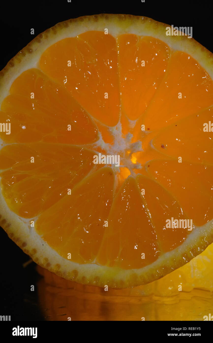 Backlit Cut in Half Clementine (Citrus × clementina) Close Up against a ...