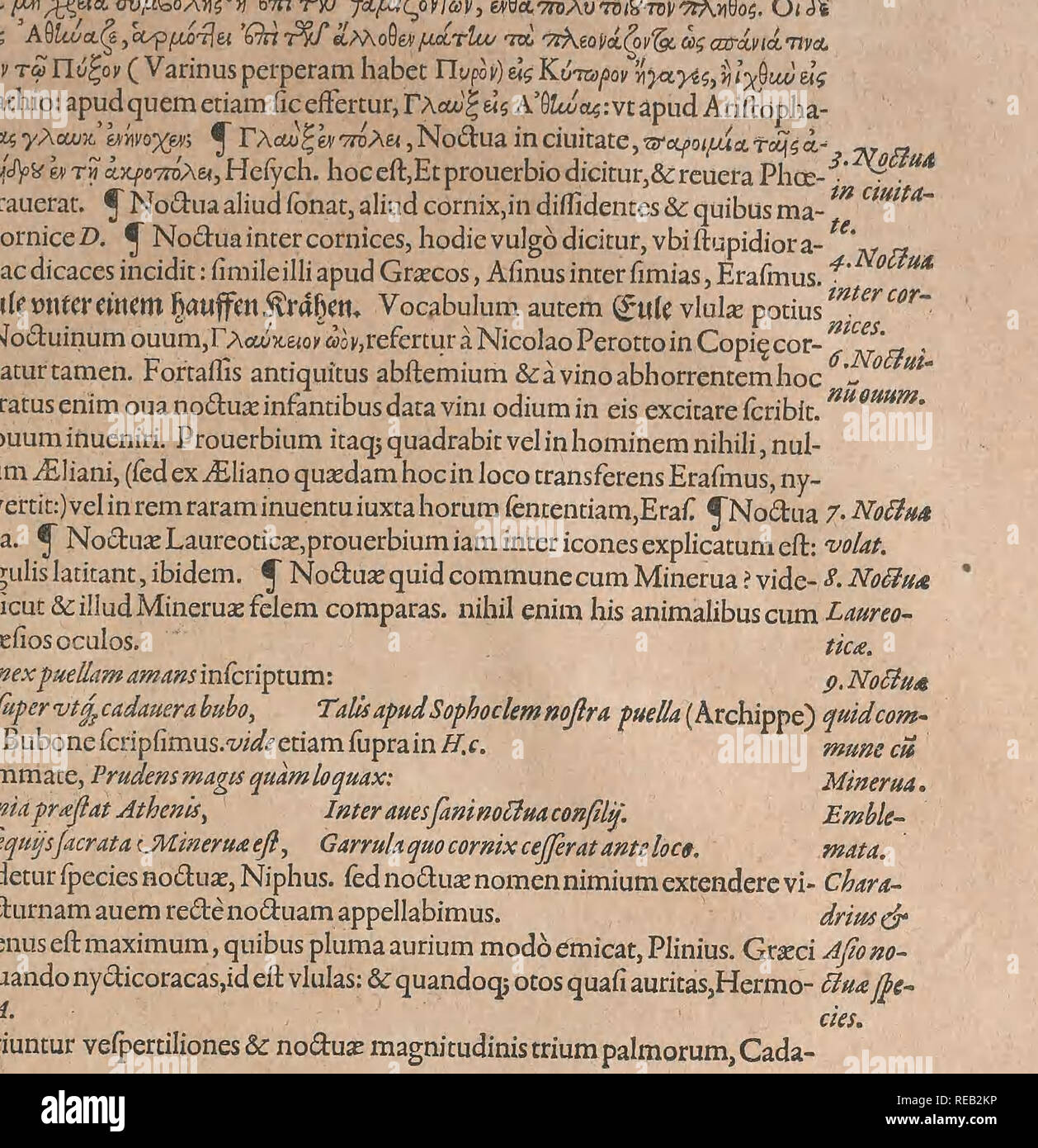 Schola latina hi-res stock photography and images - Alamy