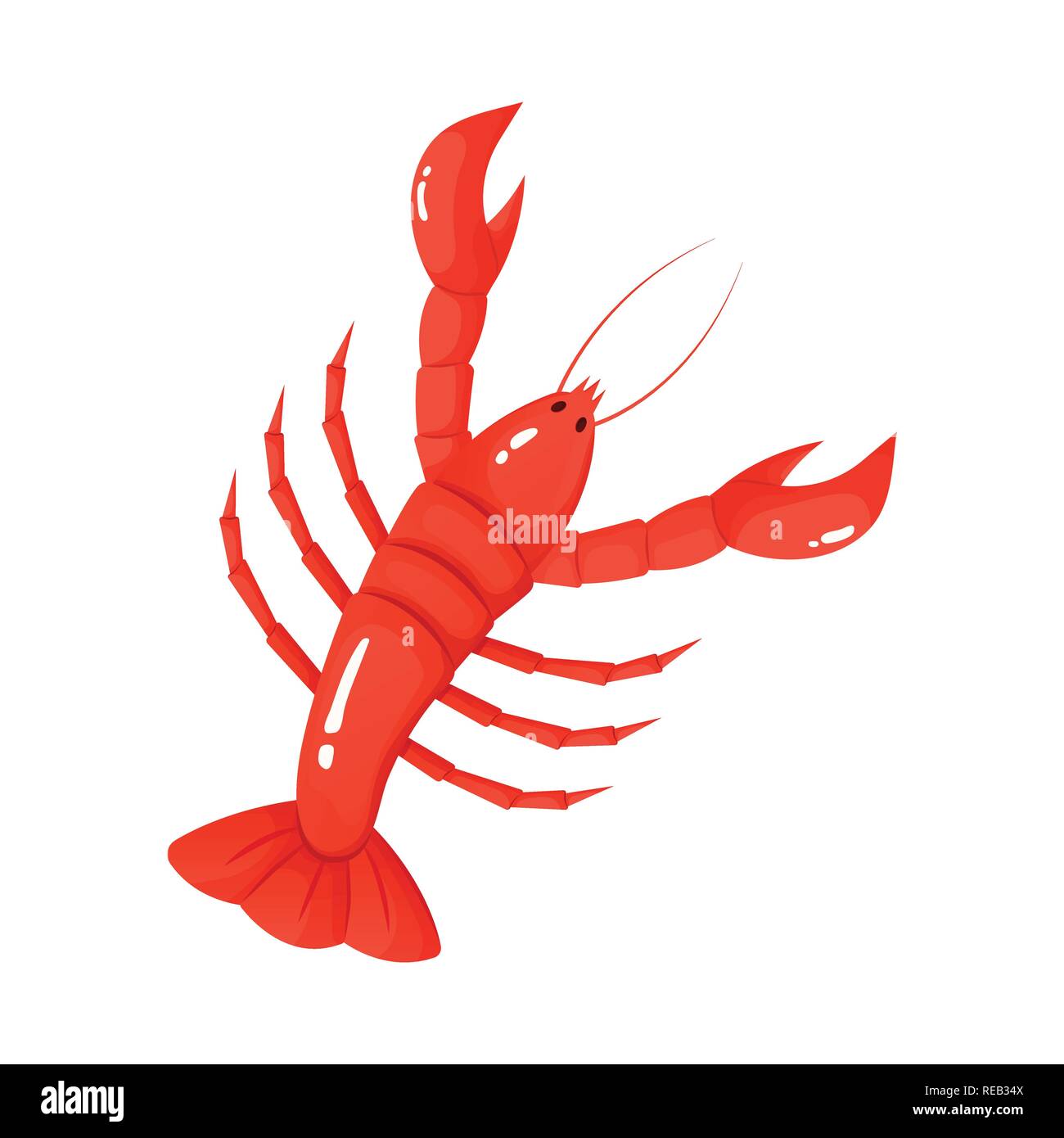 lobster,crayfish,meat,luxury,red,underwater,atlantic,mustache,cooked ...