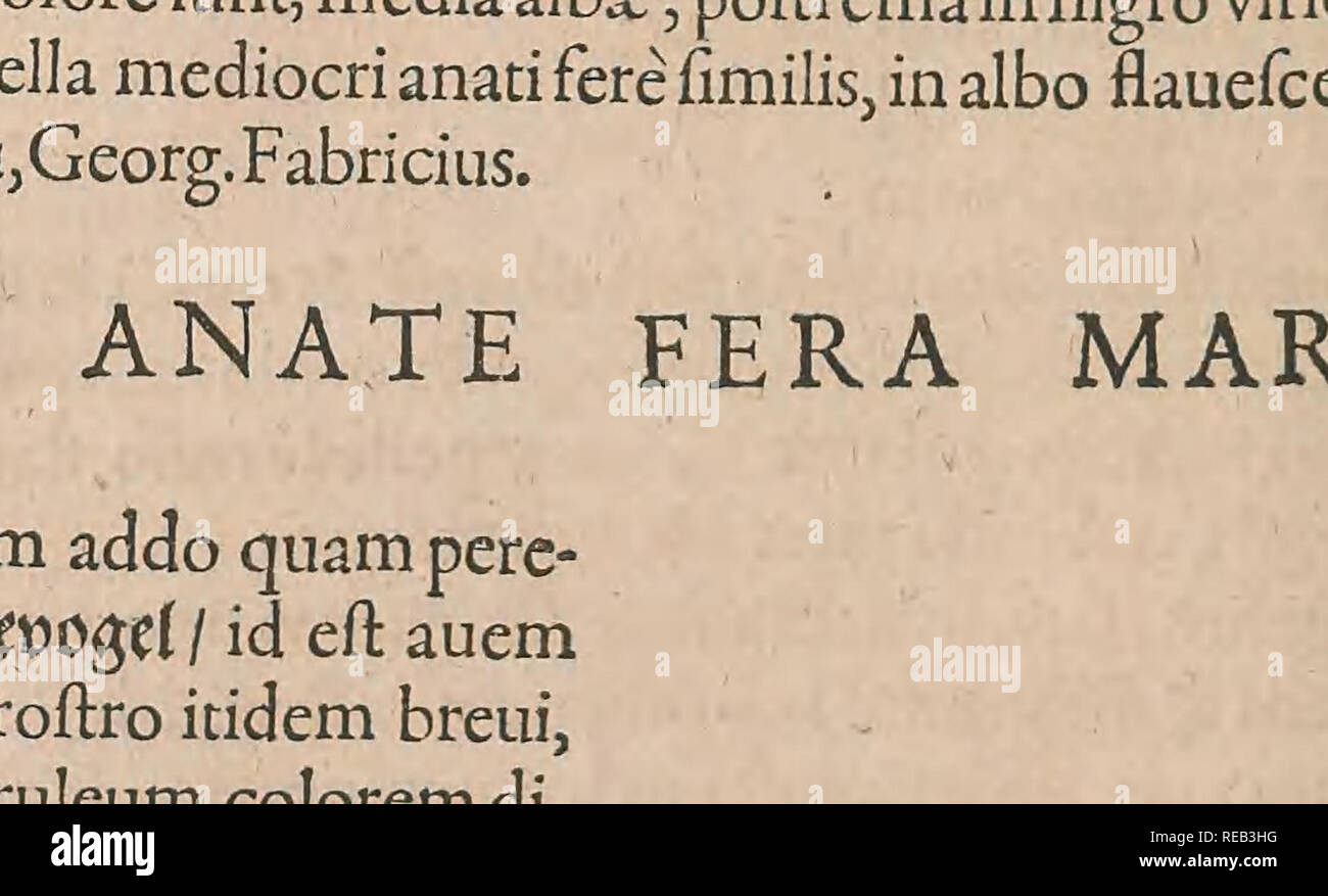 . Conr. Gesneri Tigurini, medicinae et philosophiae professoris in ...