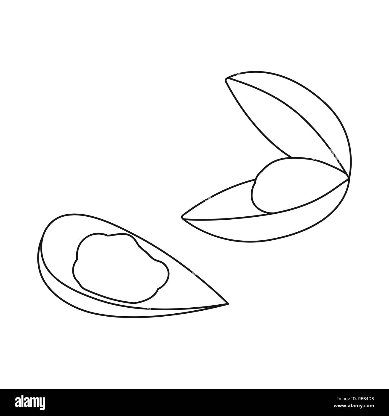 mussel,clam,shell,oyster,fish,jelly,delicacy,food,sea,seafood,healthy ...