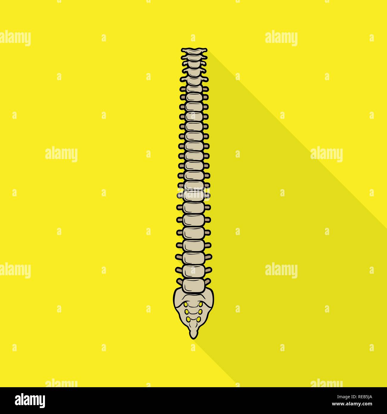 spine,chiropractic,backbone,spinal,osteoporosis,posture,body,injury ...