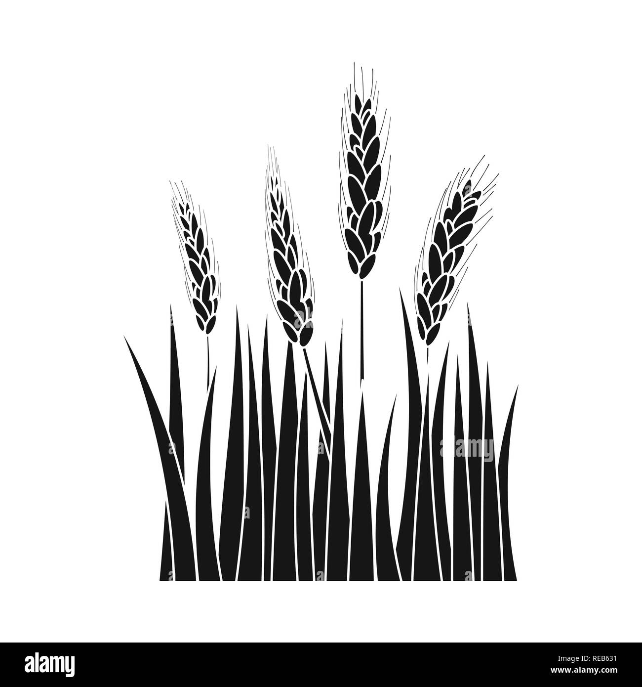 spring,spike,barley,land,cornfield,crop,countryside,autumn,ripe,bread ...
