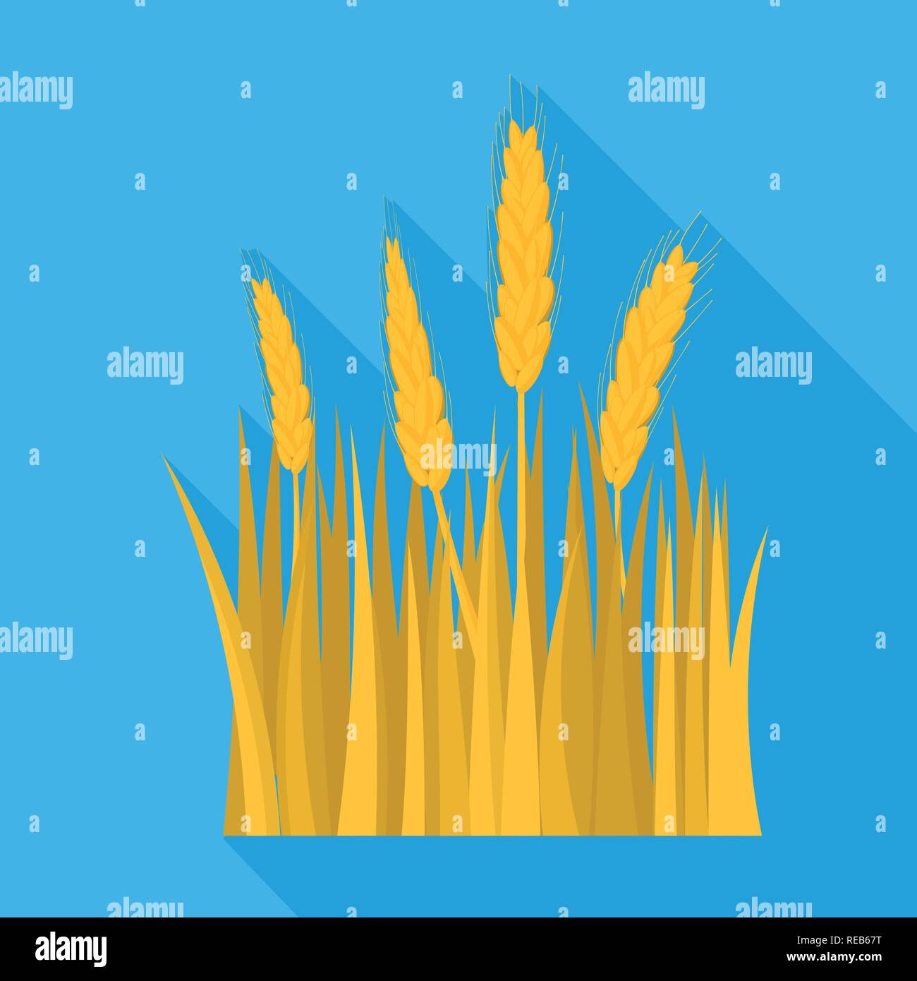 spring,spike,barley,land,cornfield,crop,countryside,autumn,ripe,bread ...