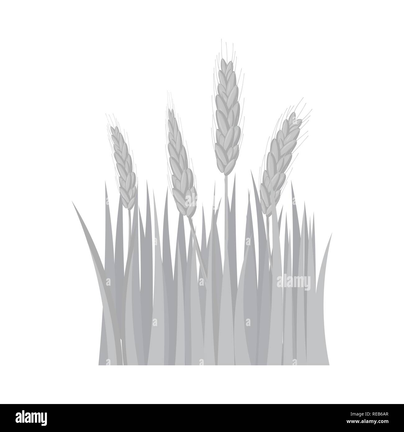 spring,spike,barley,land,cornfield,crop,countryside,autumn,ripe,bread ...