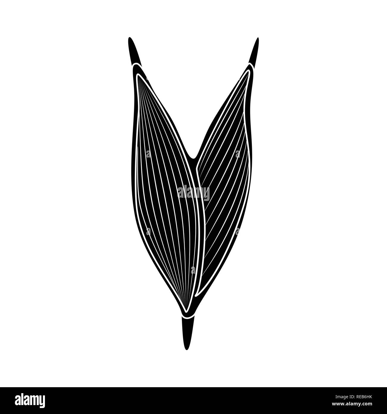 chest,triceps,biceps,deltoid,pectoral,chart,man,gym,sport,muscle,cells ...