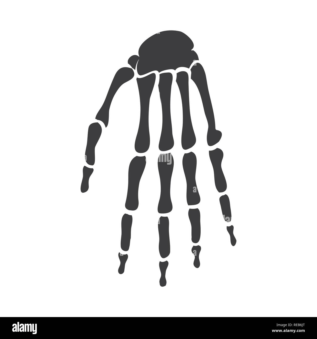 wrist,hand,calcium,structure,arm,carpus,health,xray,finger,injury,bone ...