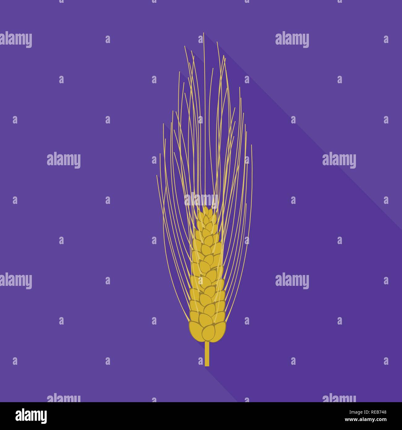 Farm field winter wheat Stock Vector Images - Alamy